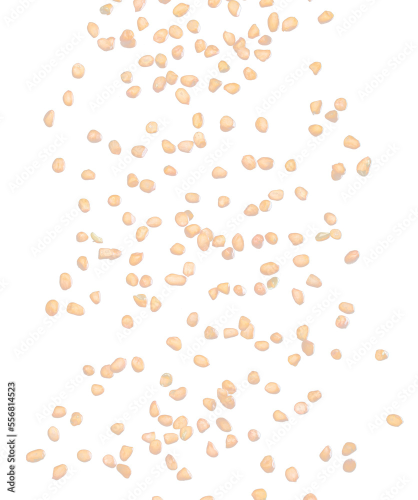 Peanut flying explosion, brown grain peanuts explode abstract cloud fly ...