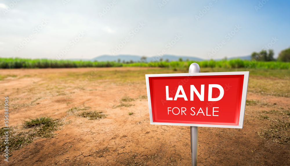 land for sale sign against trimmed lawn background. Empty dry cracked ...