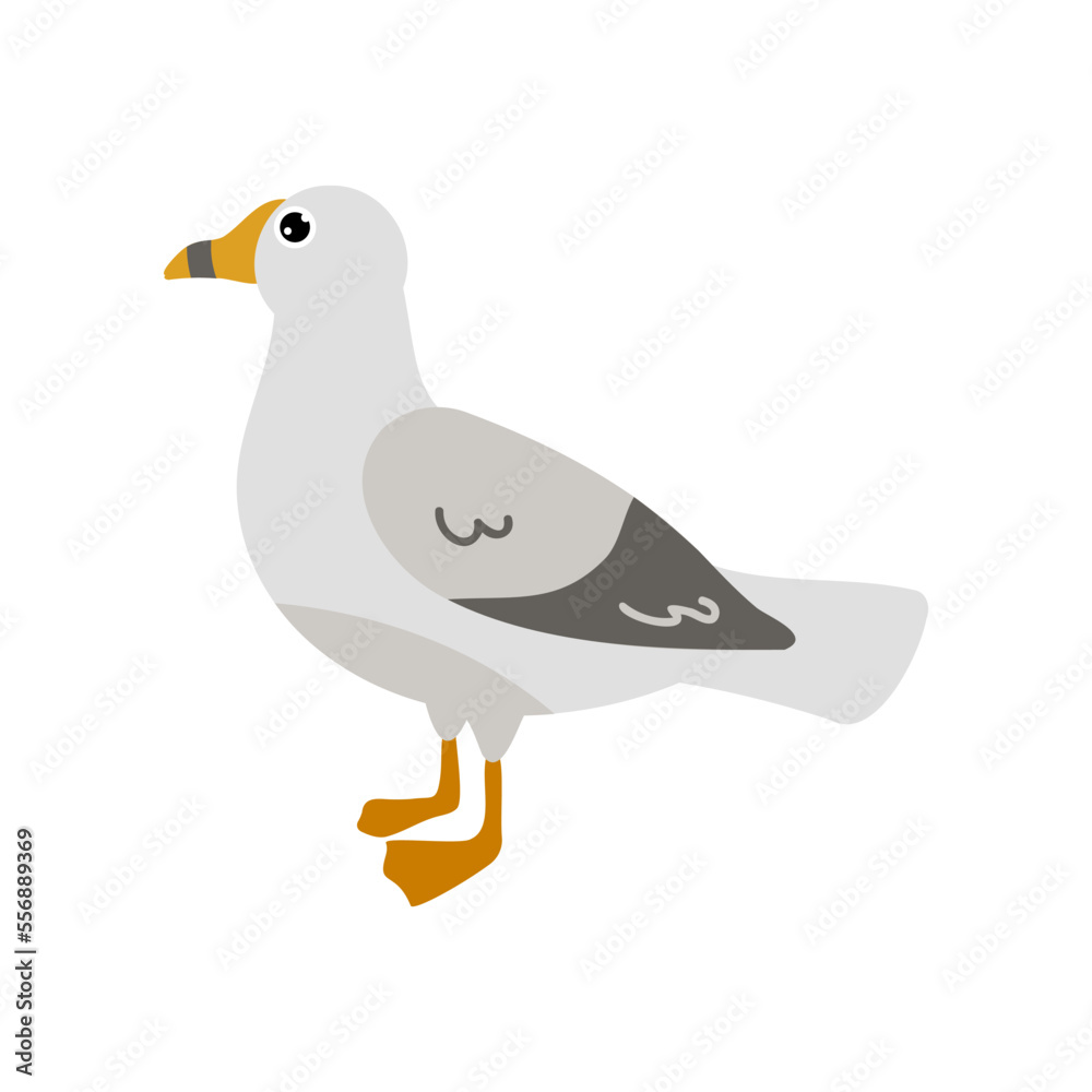 Cute comic gull, Atlantic bird over white background. Seagull cartoon ...