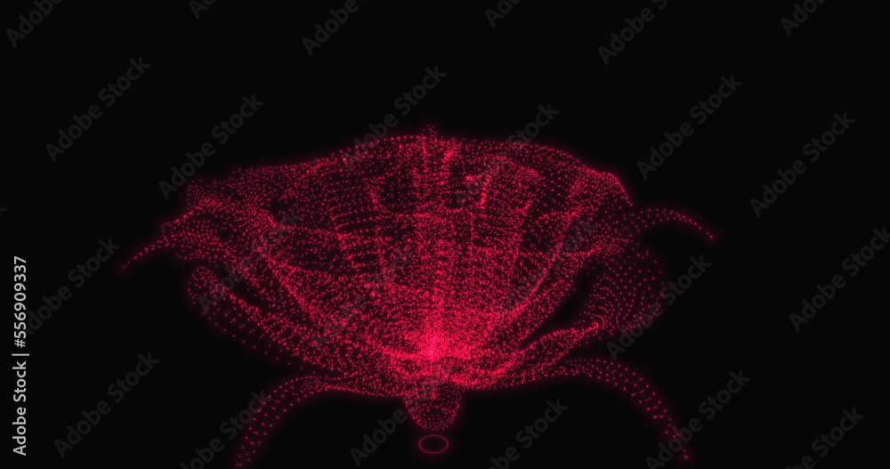 An abstract red rose on a black background. 3D model of a rose with ...