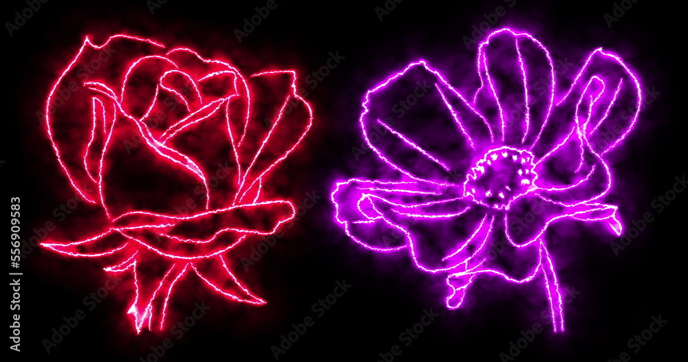 Color animated color drawings of flowers on a black background. Red and ...