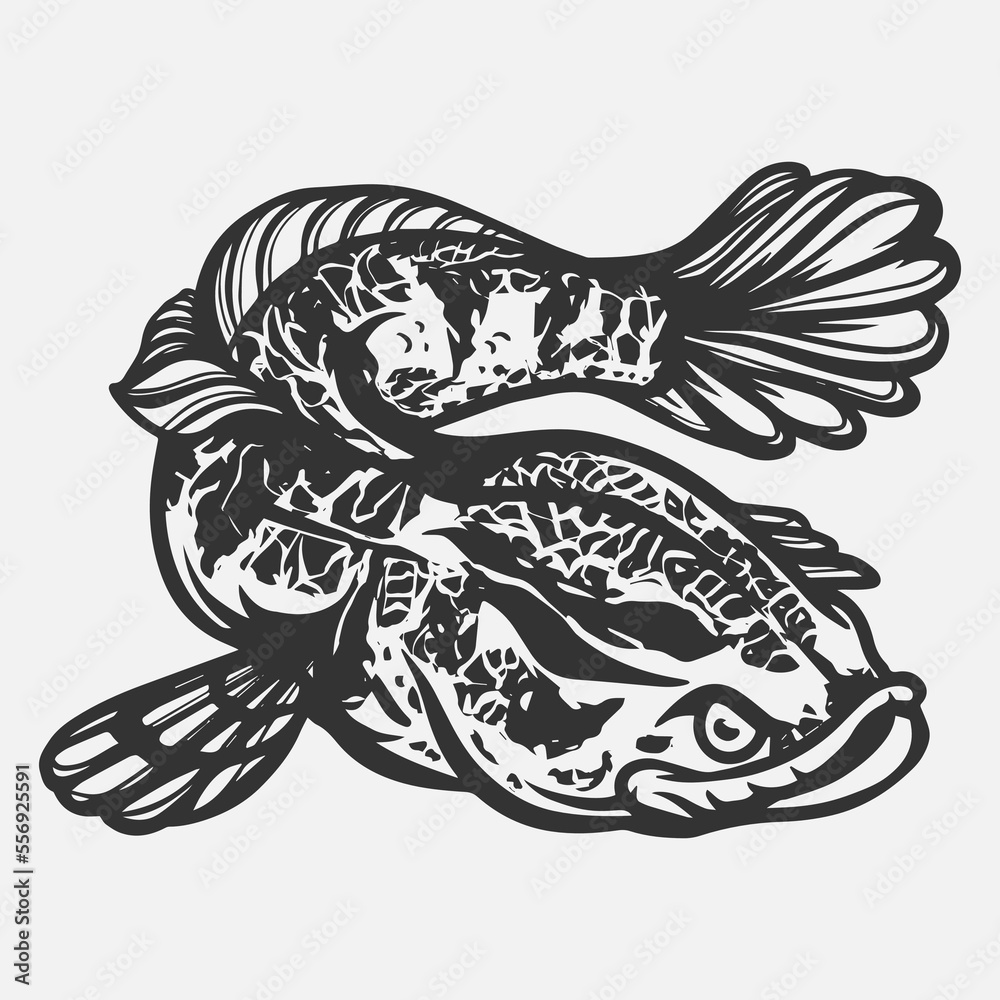Easy to use isolated channa fish vector illustration with stunning ...