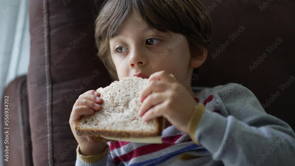 Child eating sandwich laying on couch. One little boy eats carb snack ...