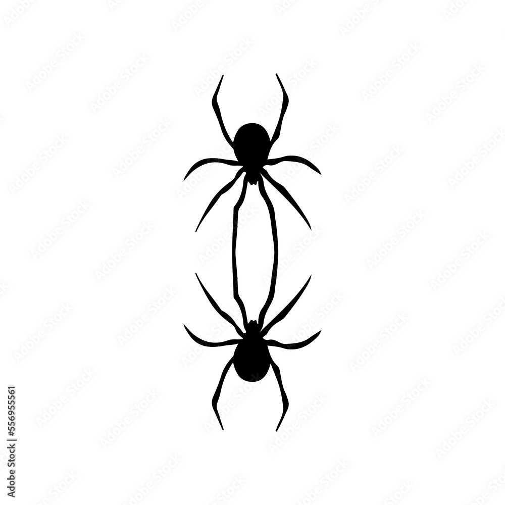 vector illustration of two spiders Stock Vector | Adobe Stock