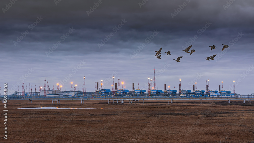 Infrastructure of a complex installation for the preparation of gas for ...