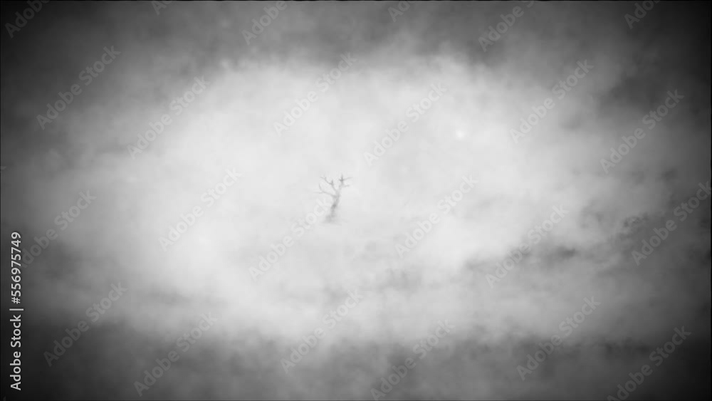 Horror fantasy 2D animation collection. Road in mountains with fog and ...