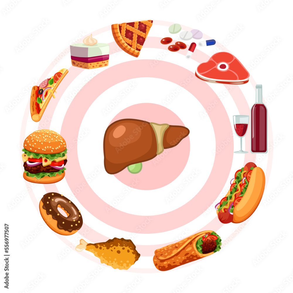 Liver inside circle of unhealthy food vector illustration. Cartoon ...