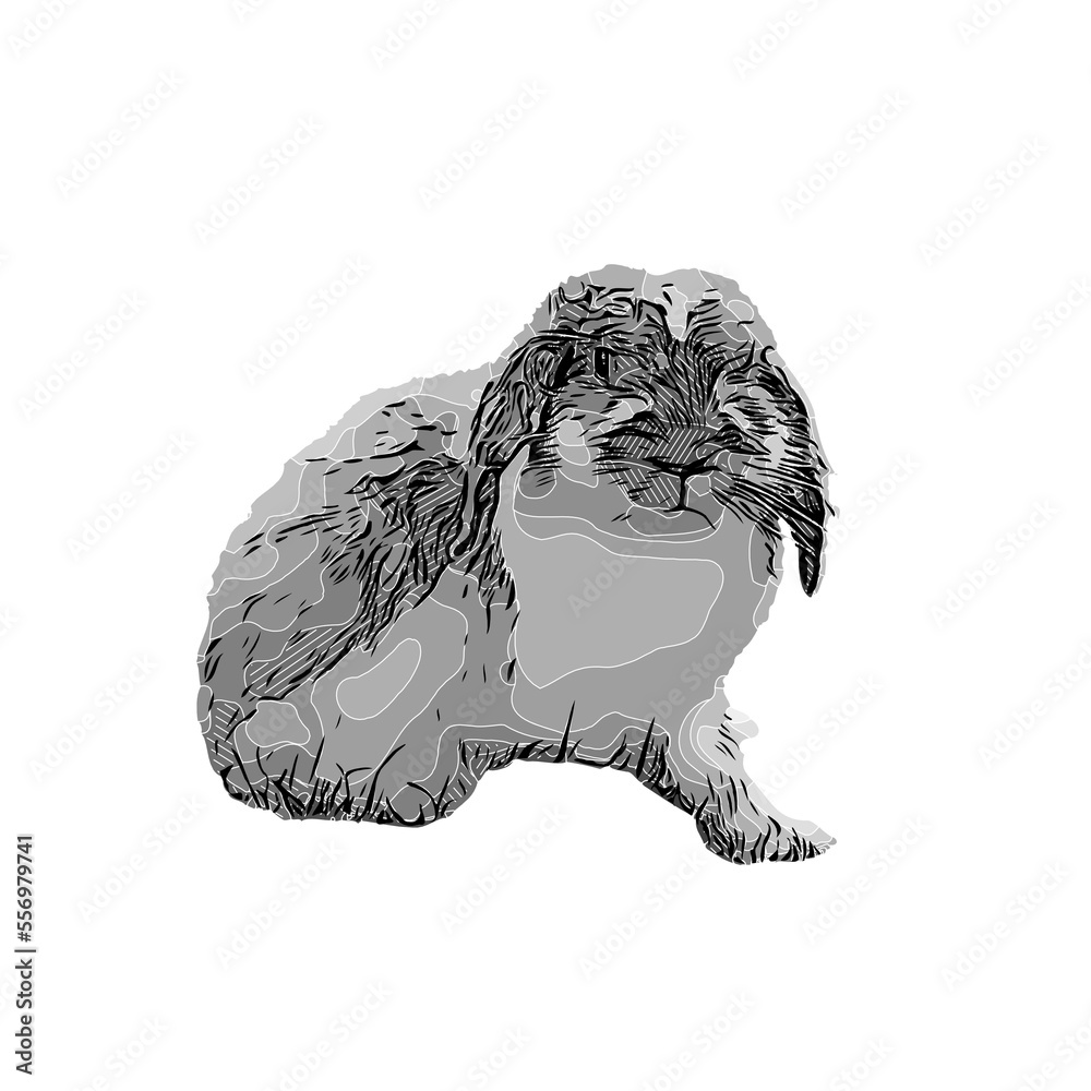black and white drawing sketch of a rabbit with a transparent ...