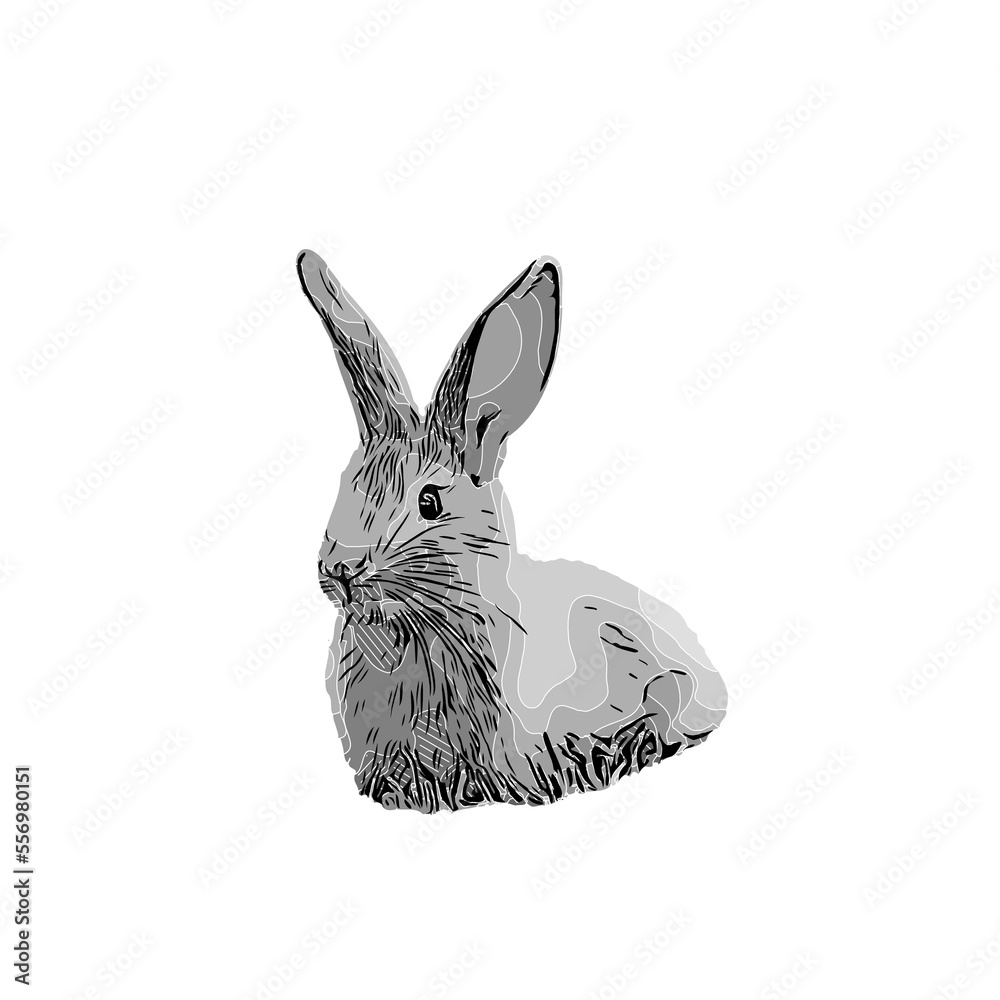 black and white drawing sketch of a rabbit with a transparent ...