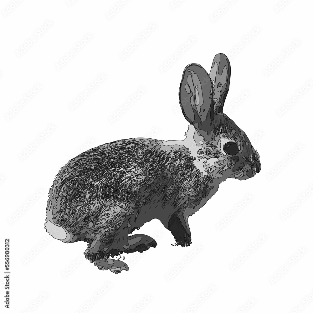 black and white drawing sketch of a rabbit with a transparent ...