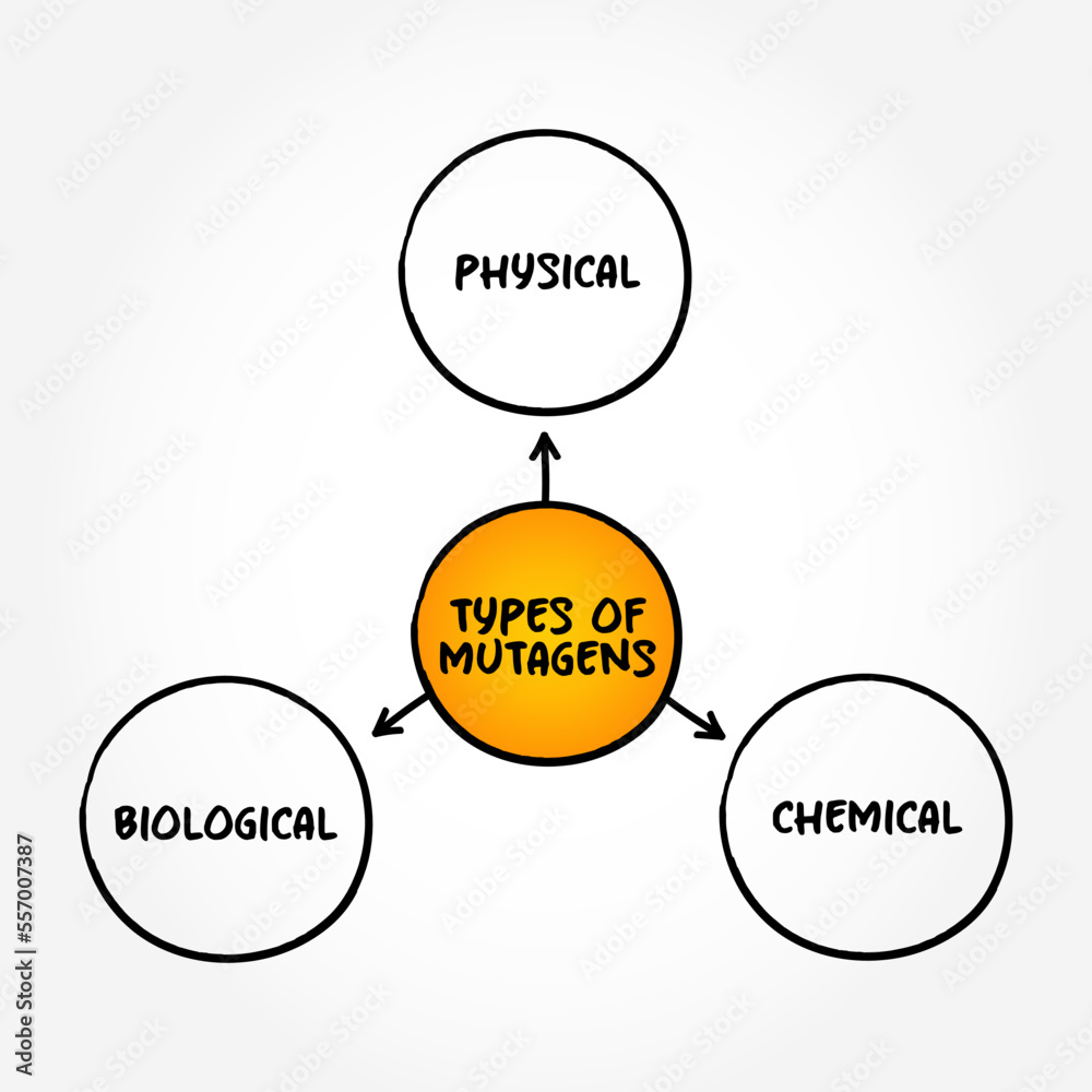 Types of Mutagen (anything that causes a mutation, a change in the DNA ...