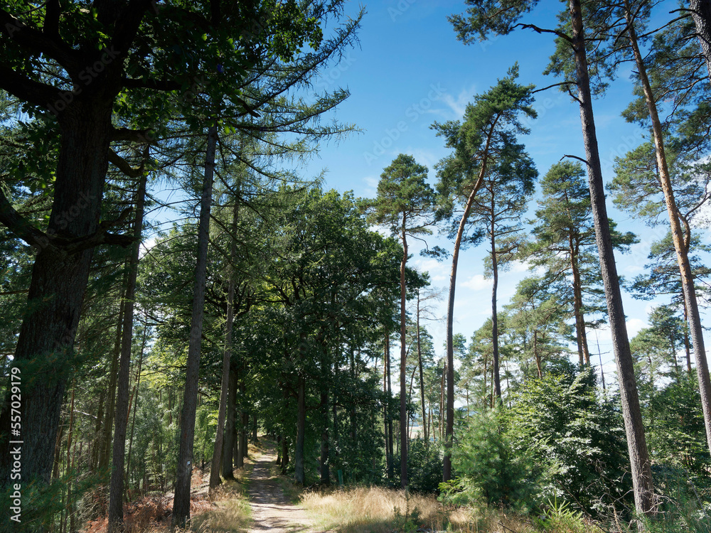 Wald Landschaft in Hessen. Burgwaldliege Stirnhelle Tour in Hessen ...