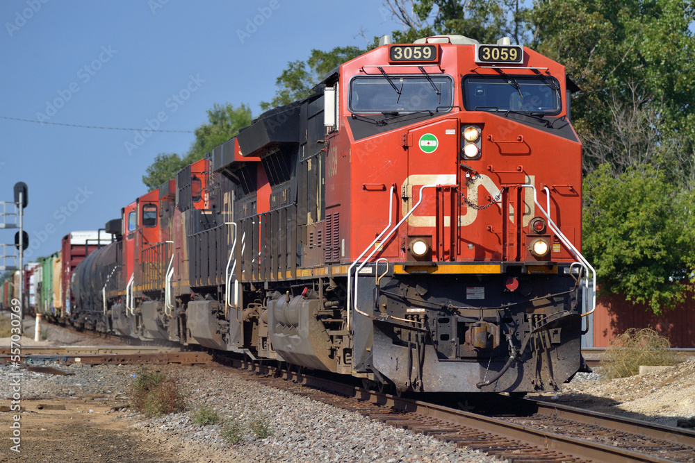 Four Canadian National Railway locomotives lead a freight train over a ...