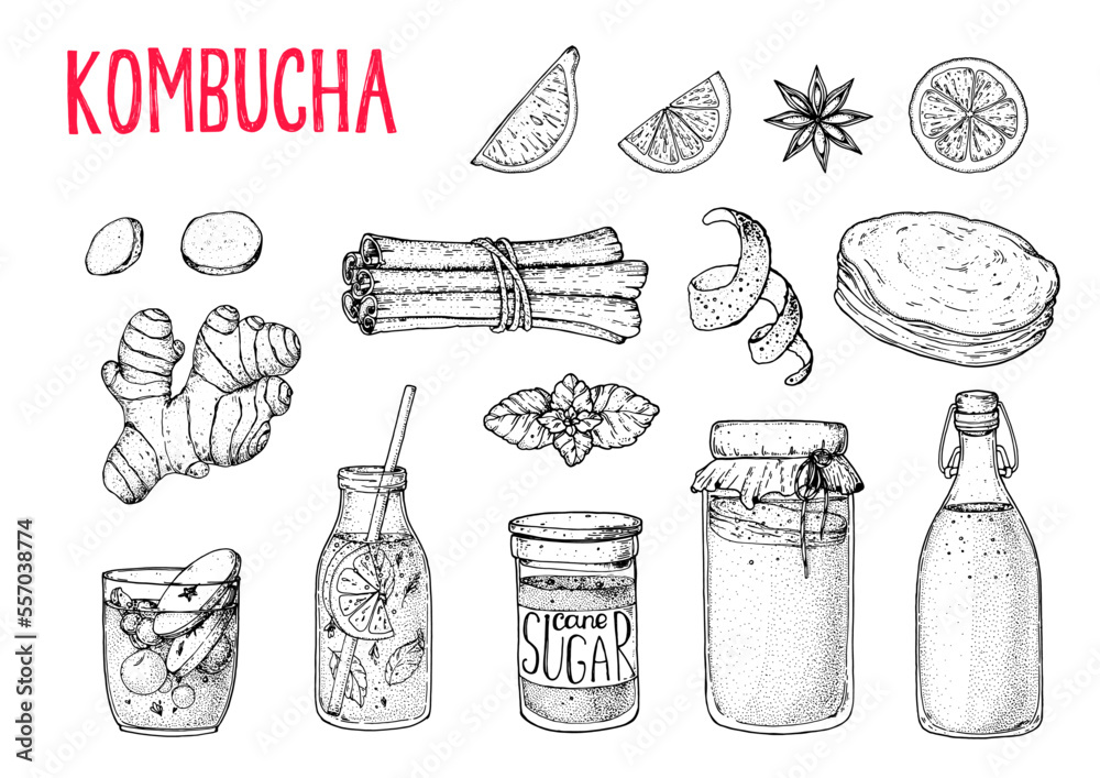 Kombucha tea and ingredients. Kombucha sketch. Hand drawing elements ...
