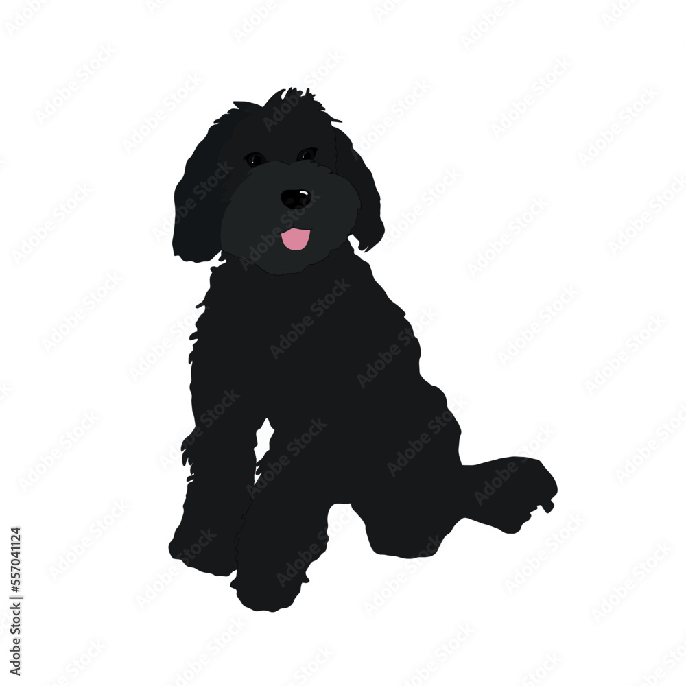 Black labradoodle isolated on white background. Dark poodle vector ...