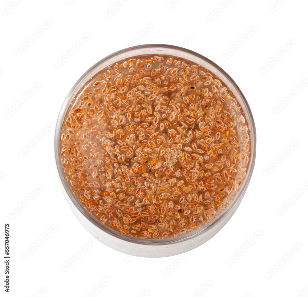Plantago Ovata Seeds in Glass of Water Isolated, Psyllium Husk, Isabgol ...