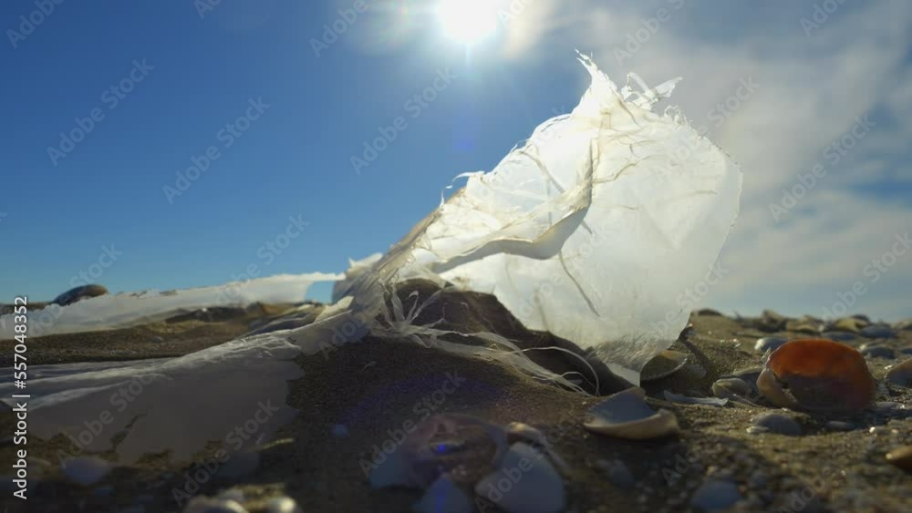 single-use plastic bag on the beach. plastic pollution raises beach ...