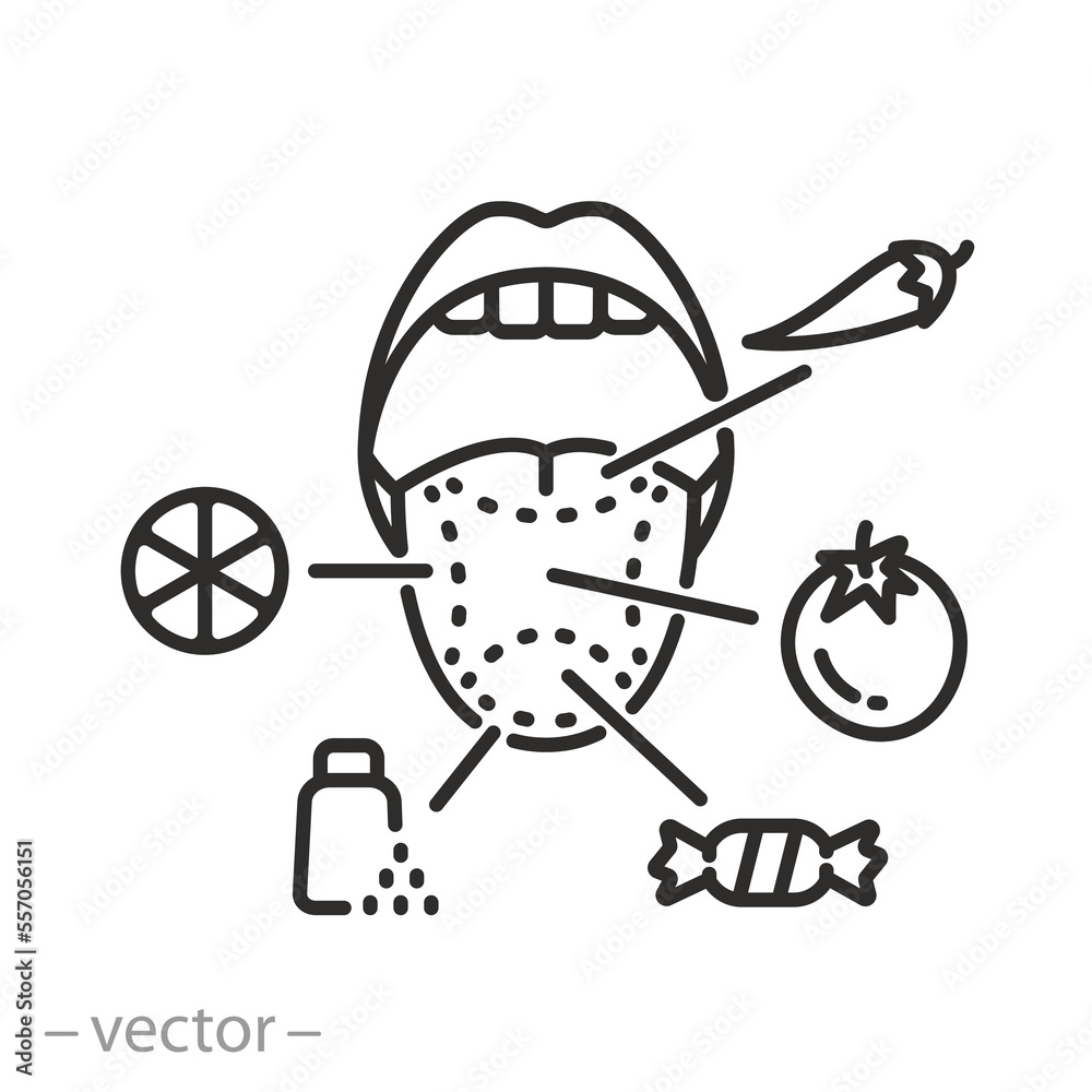 basic tastes icon, human tongue areas, zone mouth, thin line symbol on ...