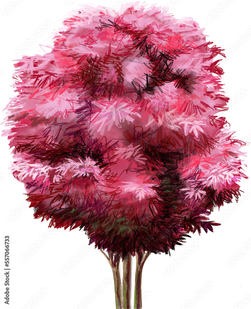 Sketch drawing of red-foliaged tree. Japanese maple tree hand drawn ...