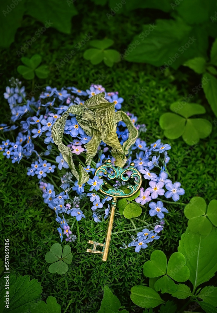 beautiful vintage key and blue forget me not flowers on dark moss ...
