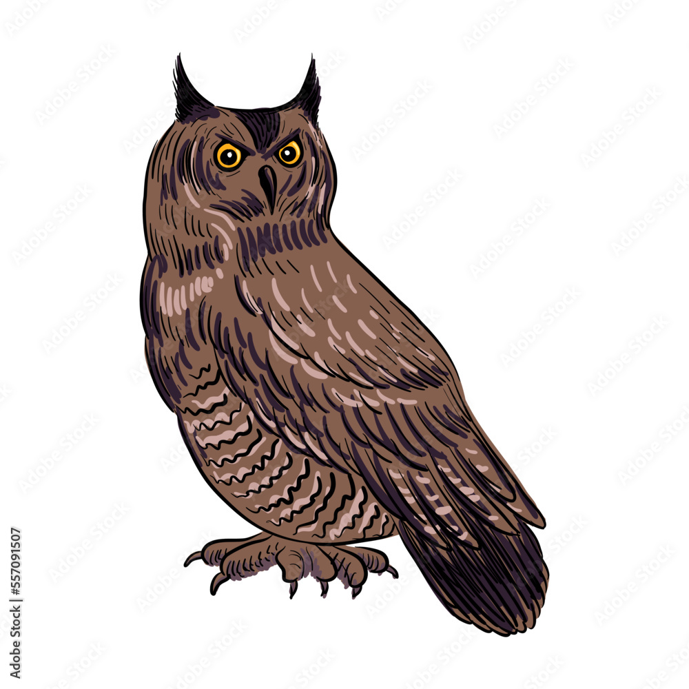 vector drawing sketch of bird, Eurasian eagle-owl ,Bubo bubo, hand ...