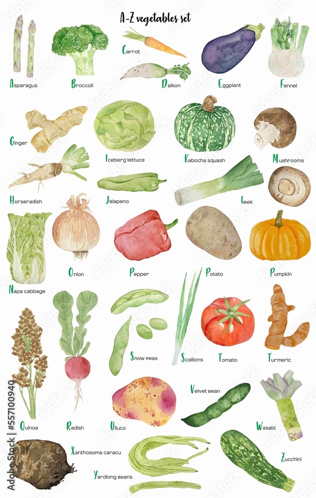 Watercolor background with colorful vegetable alphabet. Watercolor a-z ...