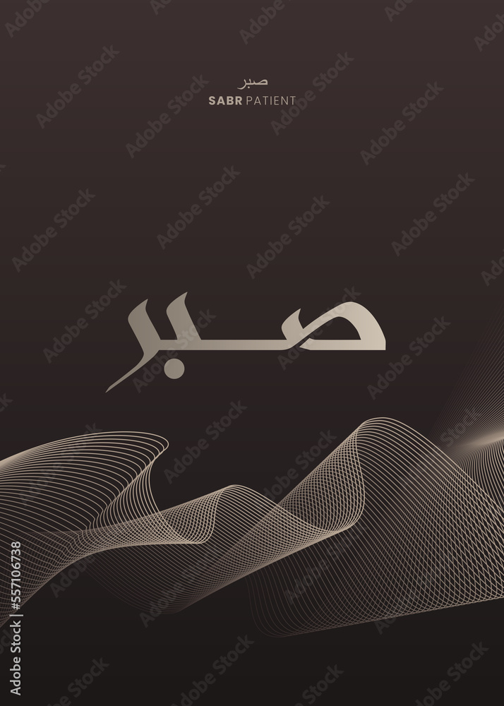 two set of sabr and shukr patient gratitude arabic calligraphy line art ...