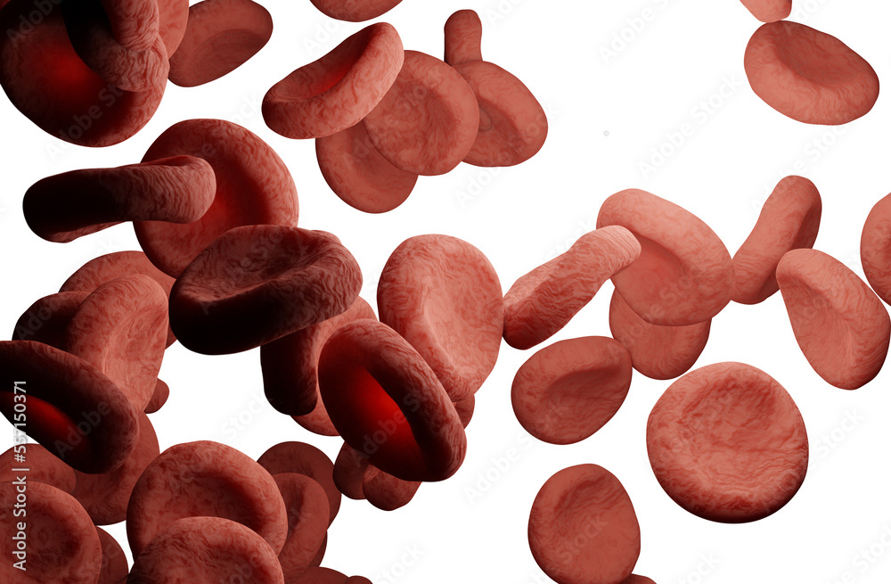 Red blood cells, 3D illustration Stock Illustration | Adobe Stock