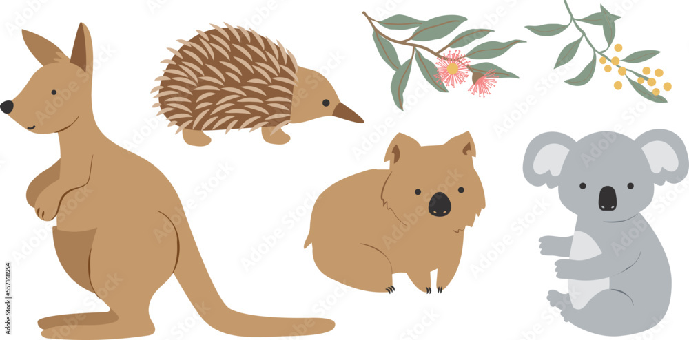 Set of 4 Australian Native Animals Wombat Echidna Kangaroo Koala ...