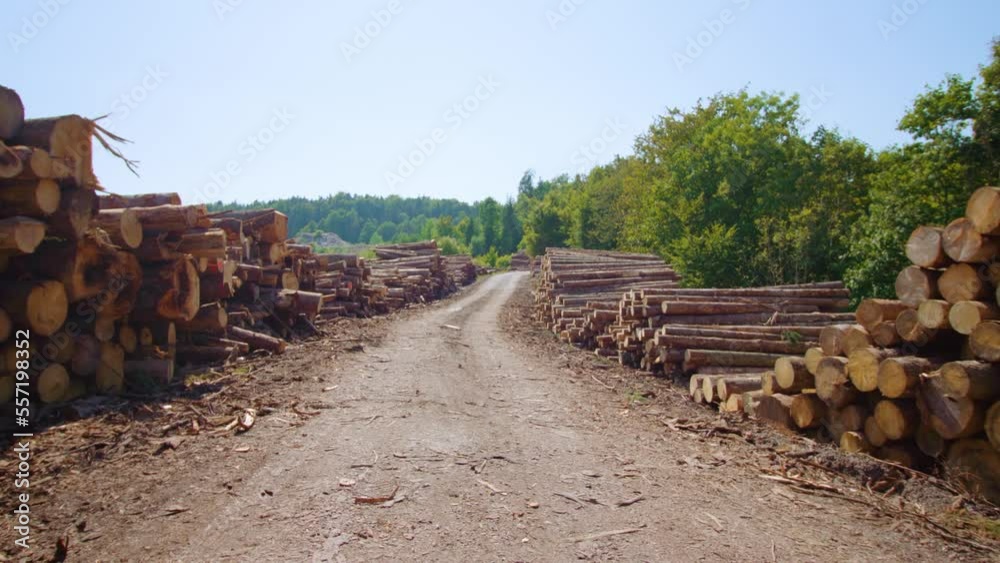 Country ground road covered with wood chips logging waste leading to ...