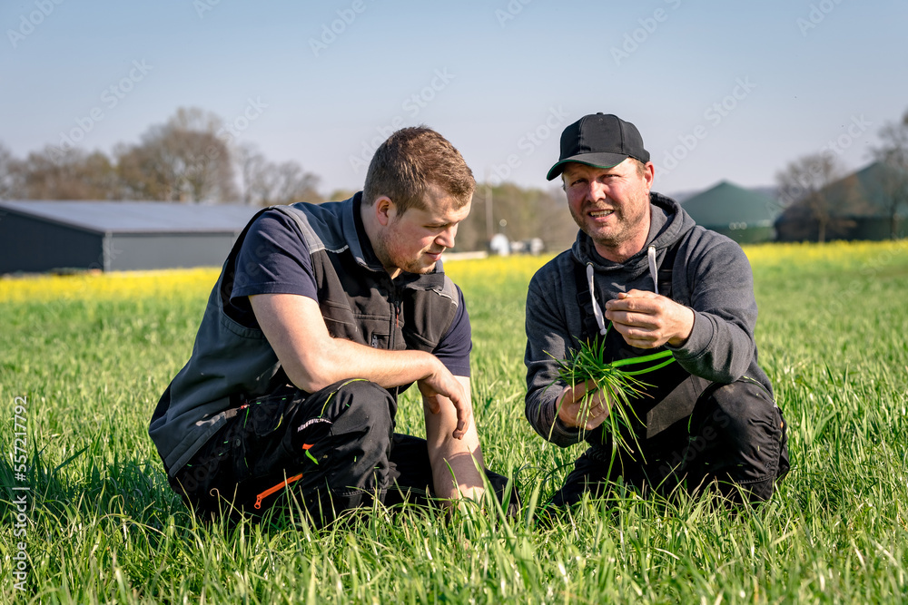 Landwirt mit seinem Auszubildenen hocken in einem Feld mit ...