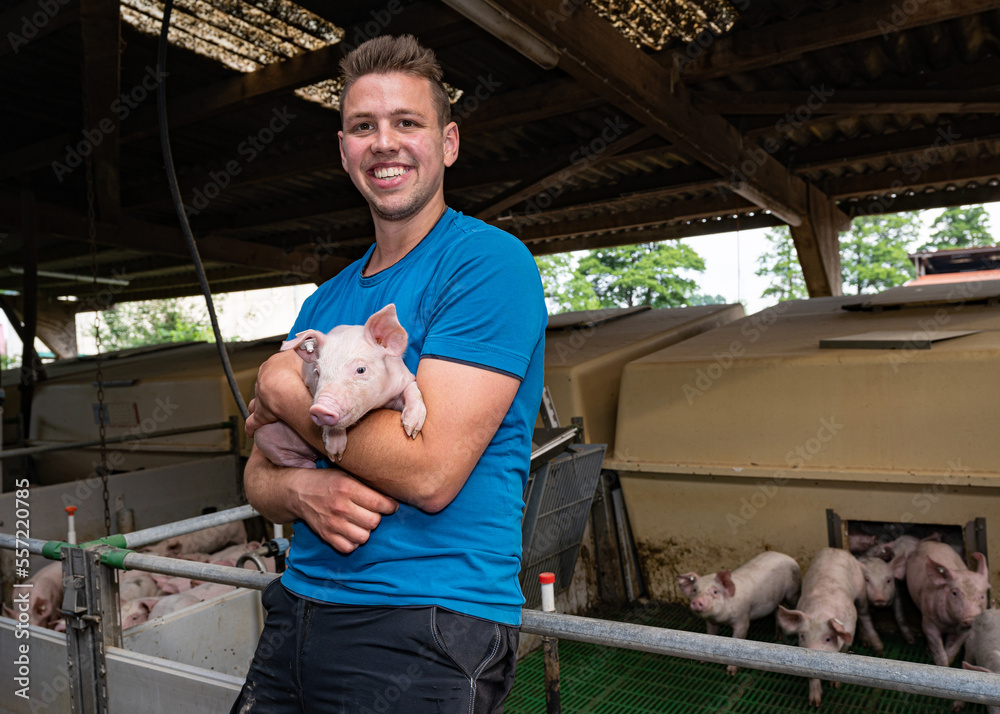 Junger Landwirt steht vor einer Ferkelbucht mit Ferkeln und trägt ein ...