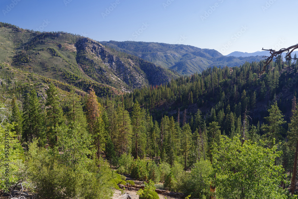 Poster Sequoia National Forest landscape shown in the Kern Plateau in ...