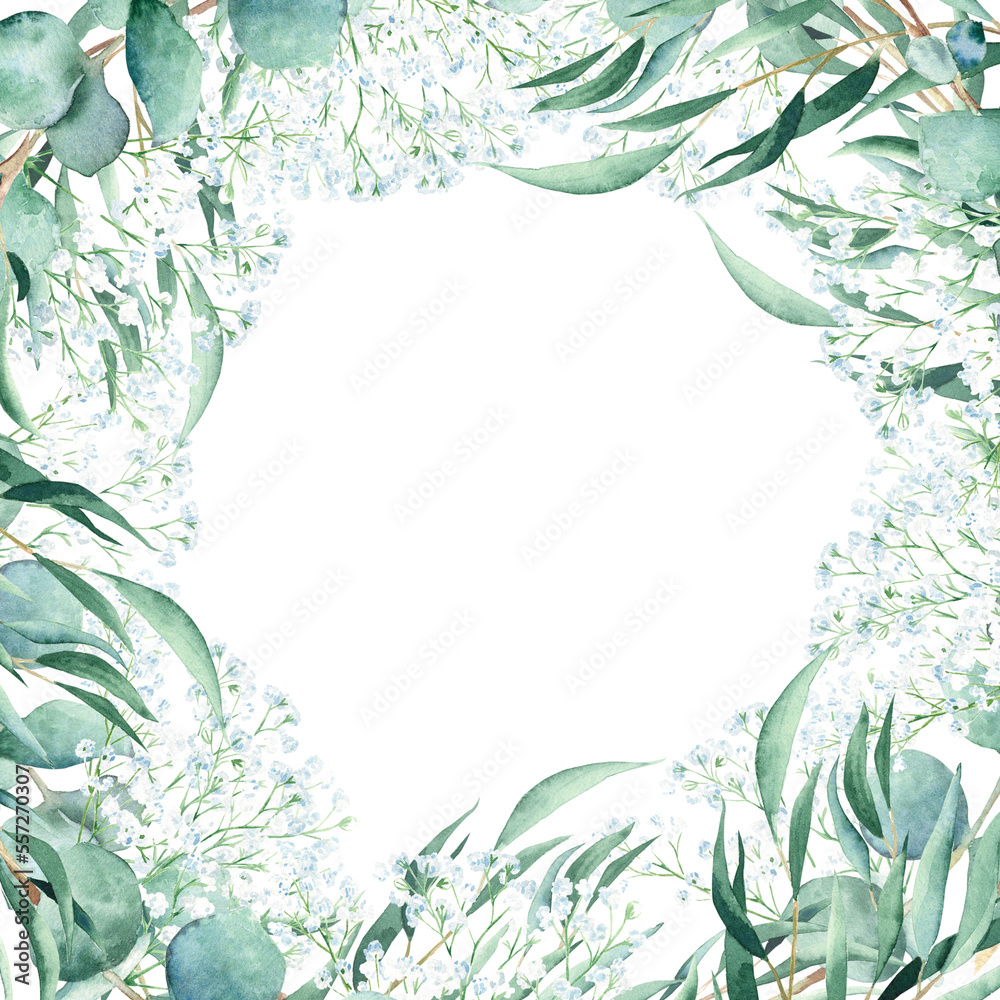 Eucalyptus and gypsophila. Watercolor greenery square frame. Hand drawn ...