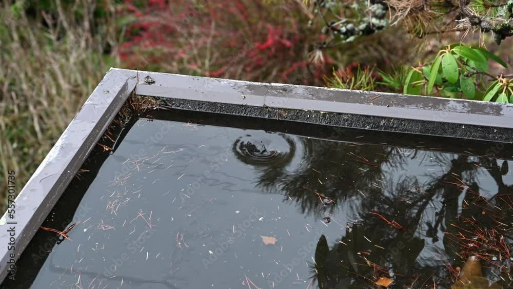 Water swirling down a carport drain and clearing storm water from a ...