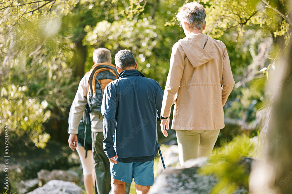 Hiking, fitness and elderly with people in the park for exercise ...