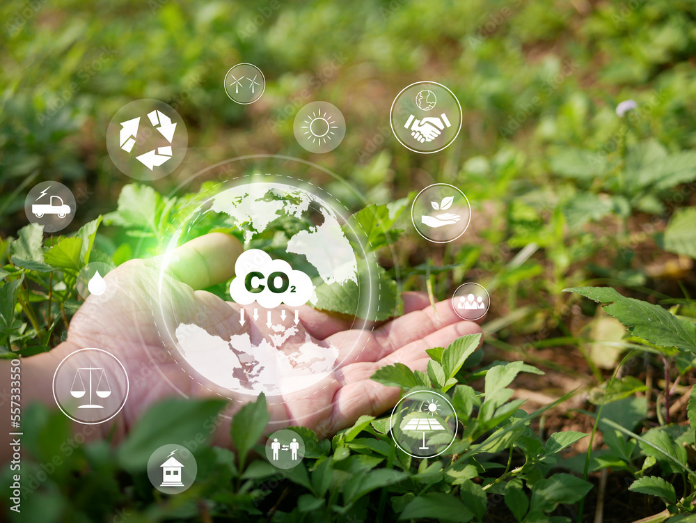 Reduce CO2 emission concept. Hand on green grass holding the earth with icons to help reducing ...