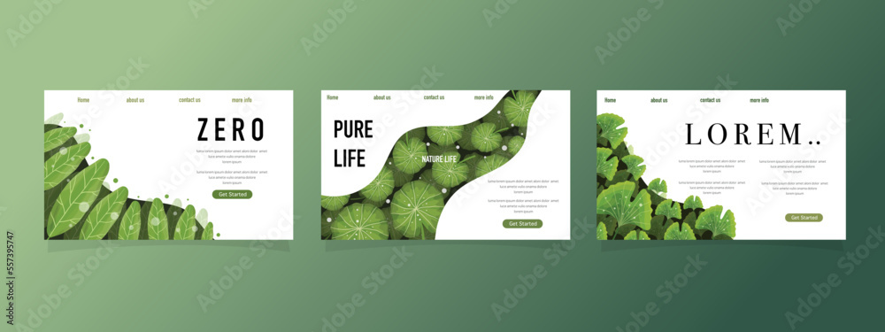Nature foliage plants for background and landing page design set bundle ...