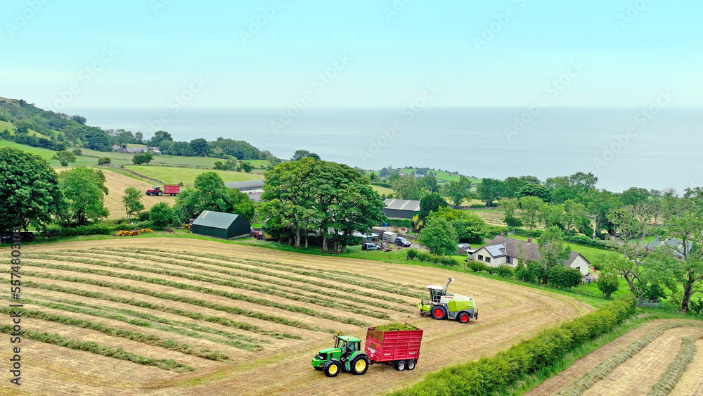 Claas Self Propelled Harvester lifting grass for Silage with a John ...