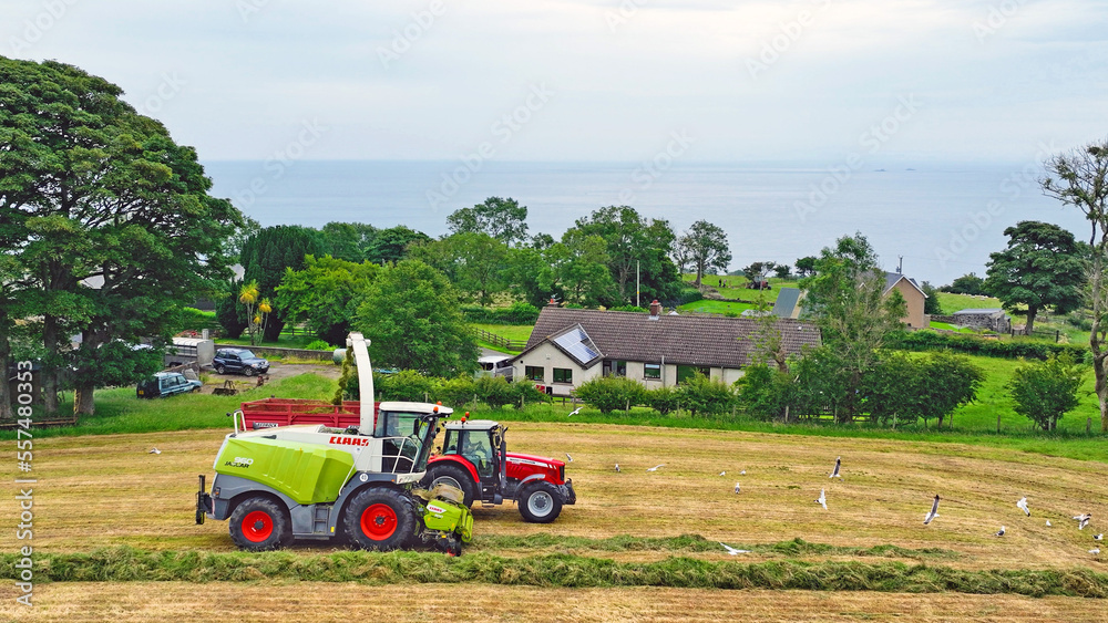 Claas Self Propelled Harvester lifting grass for Silage with a Massey ...
