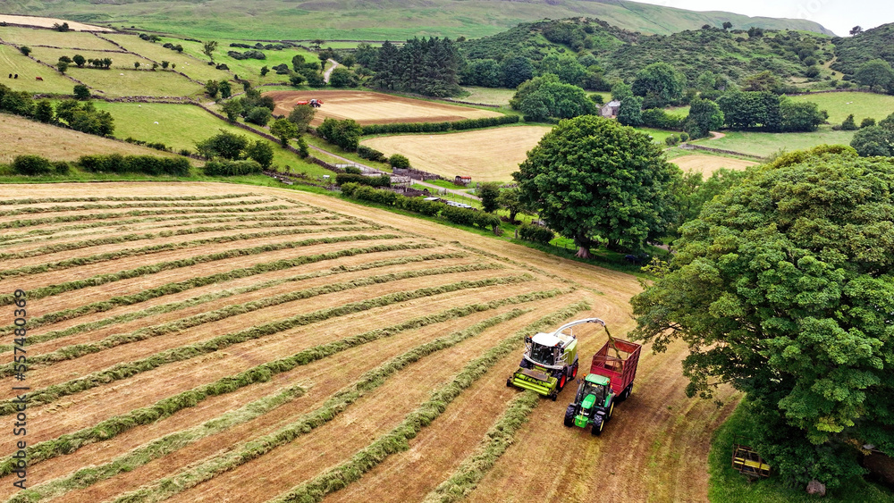 Fotografia do Stock: Claas Self Propelled Harvester lifting grass for ...