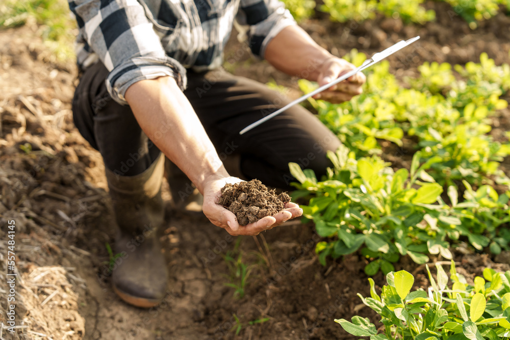 Hand of expert farmer collect soil and checking soil health Agriculture ...