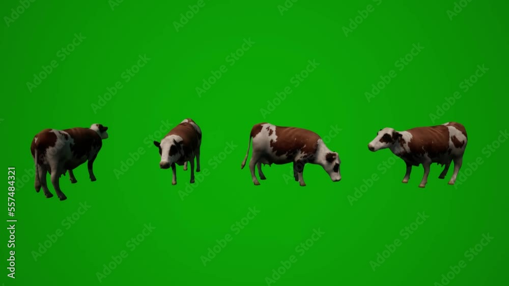 3d animal of various milking domestic cows on green screen background ...