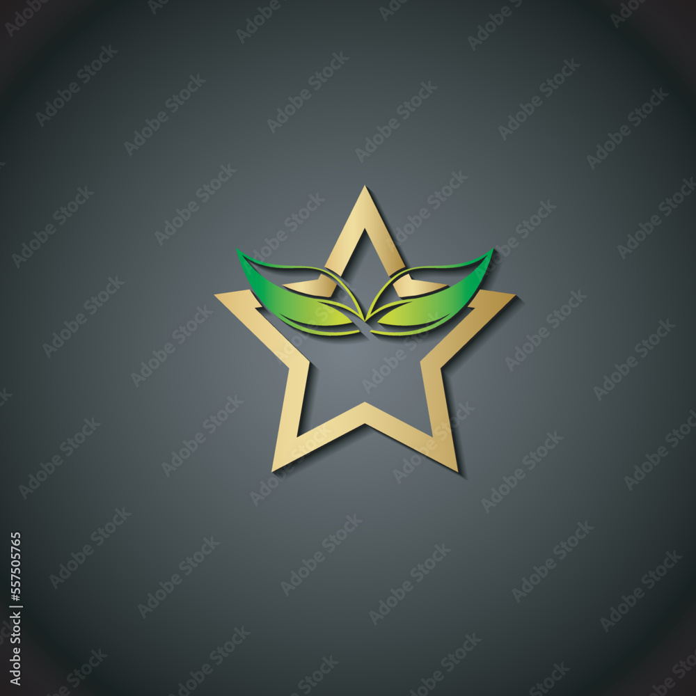 Star and leaf logo designs template, Fast star logo Vector Stock Vector ...