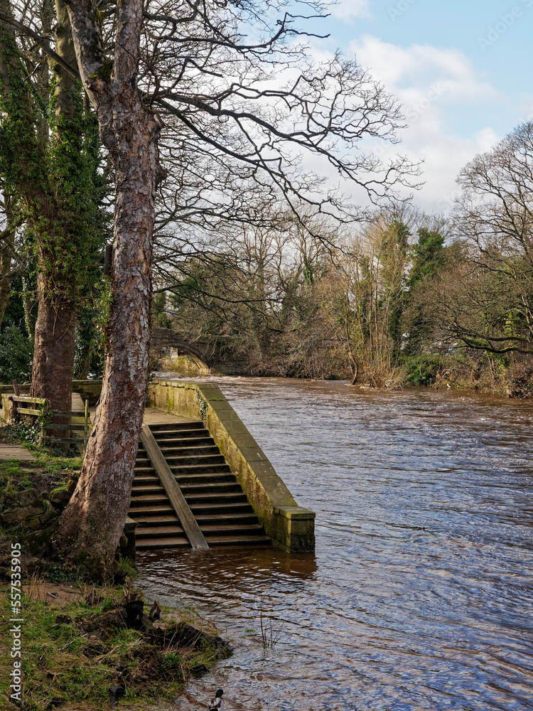Old Stone steps leading from the River Bank into the River Wharfe at ...