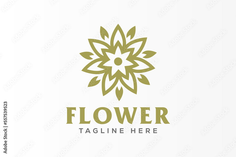 luxury Abstract flower logo template Stock Vector | Adobe Stock