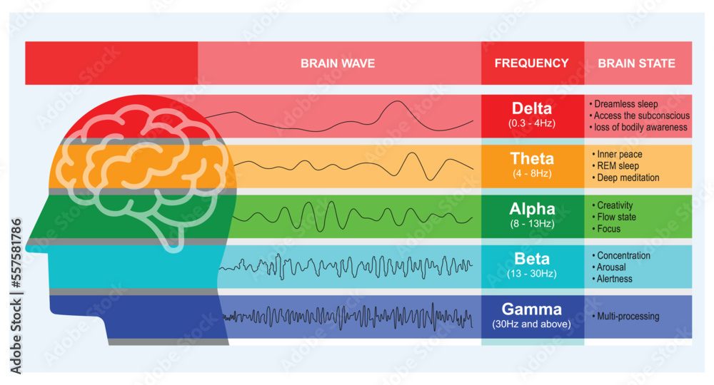 A digital illustration of different kinds of waveforms produced by brain activity. Human brain ...