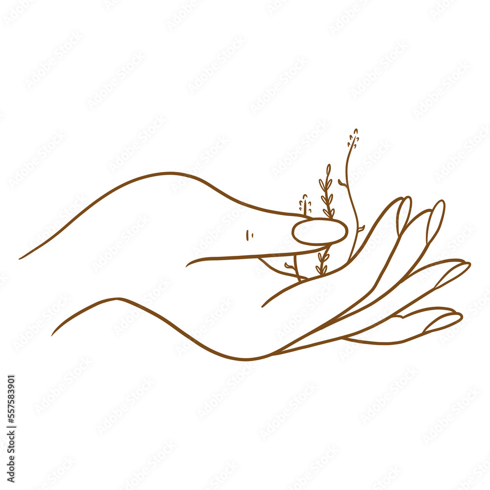 Hand With Flower Line Art Stock Illustration | Adobe Stock