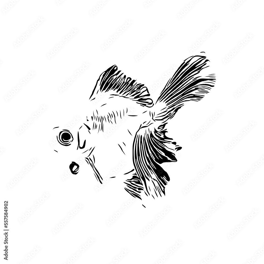 black and white drawing sketch of a fish with a transparent background ...