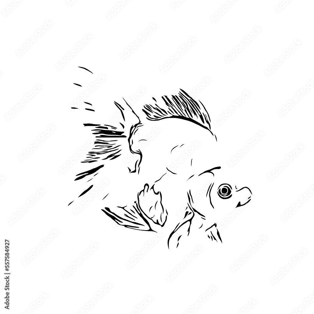 black and white drawing sketch of a fish with a transparent background ...